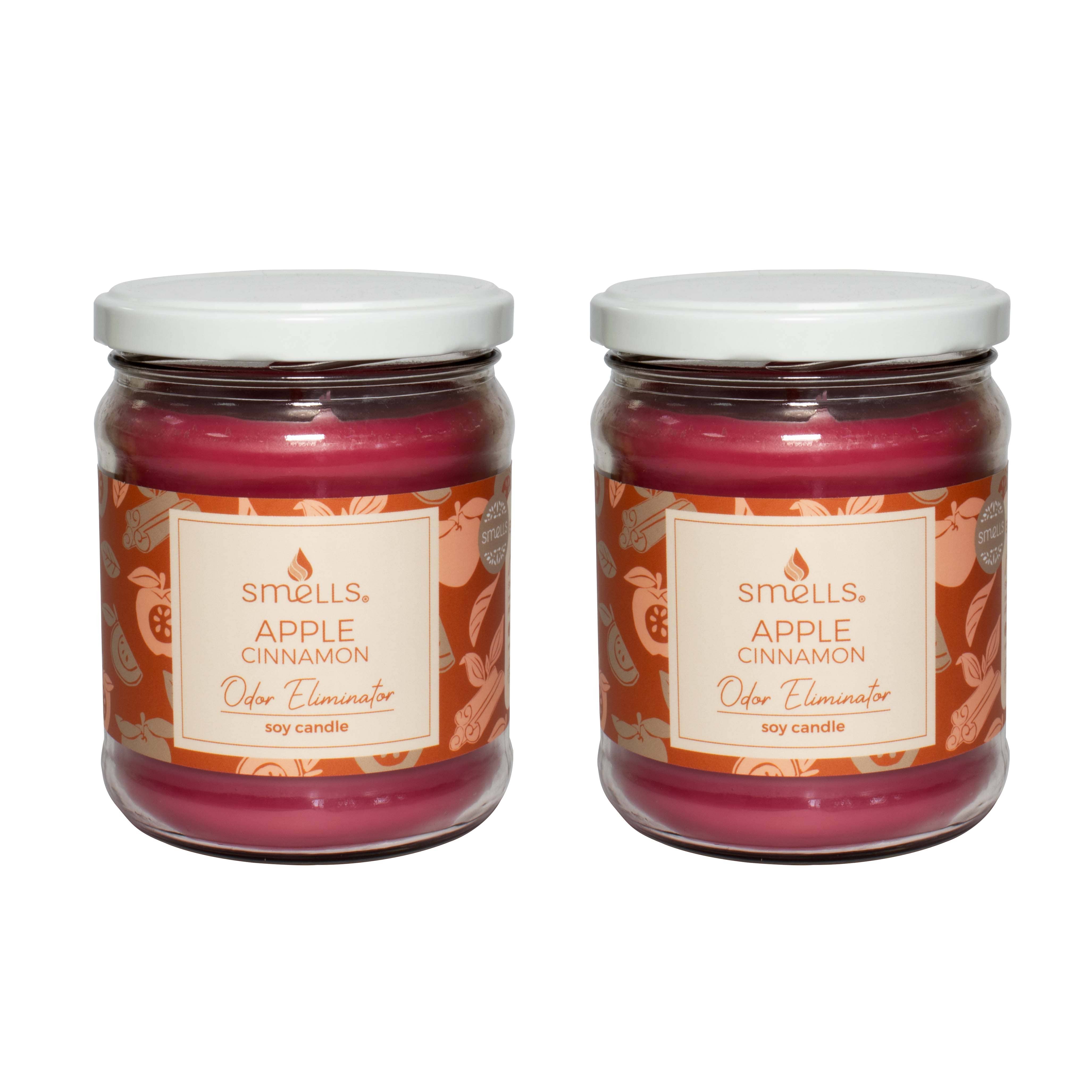 Apple Cinnamon Odor Eliminator Scented Candle, 12 oz (2-PACK) | Smells